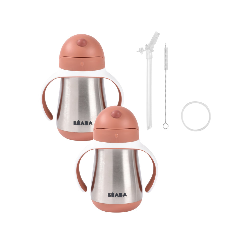 Set of 2 Stainless Steel Straw Cup 8.5 fl. oz + Replacement Straw Kit